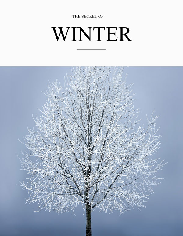 Shop – MelloFit Labs